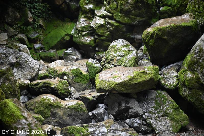 The Wulong Karst, ChongQing