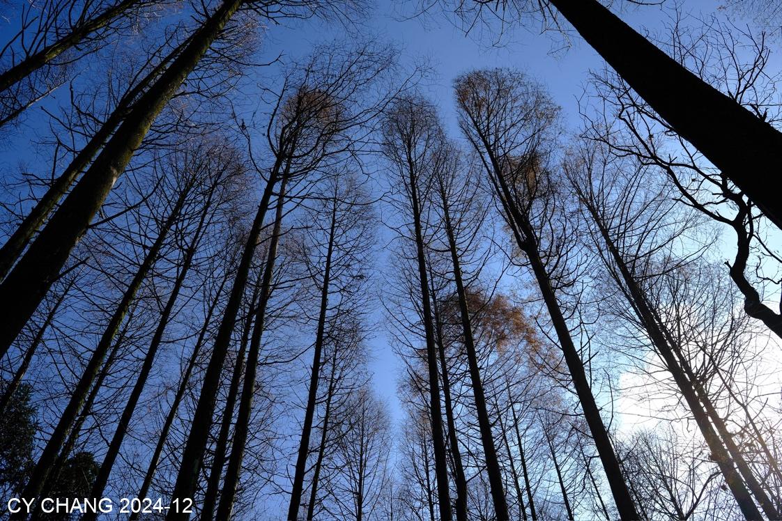 Winter in Shanwangping, Nanchuan, ChongQing