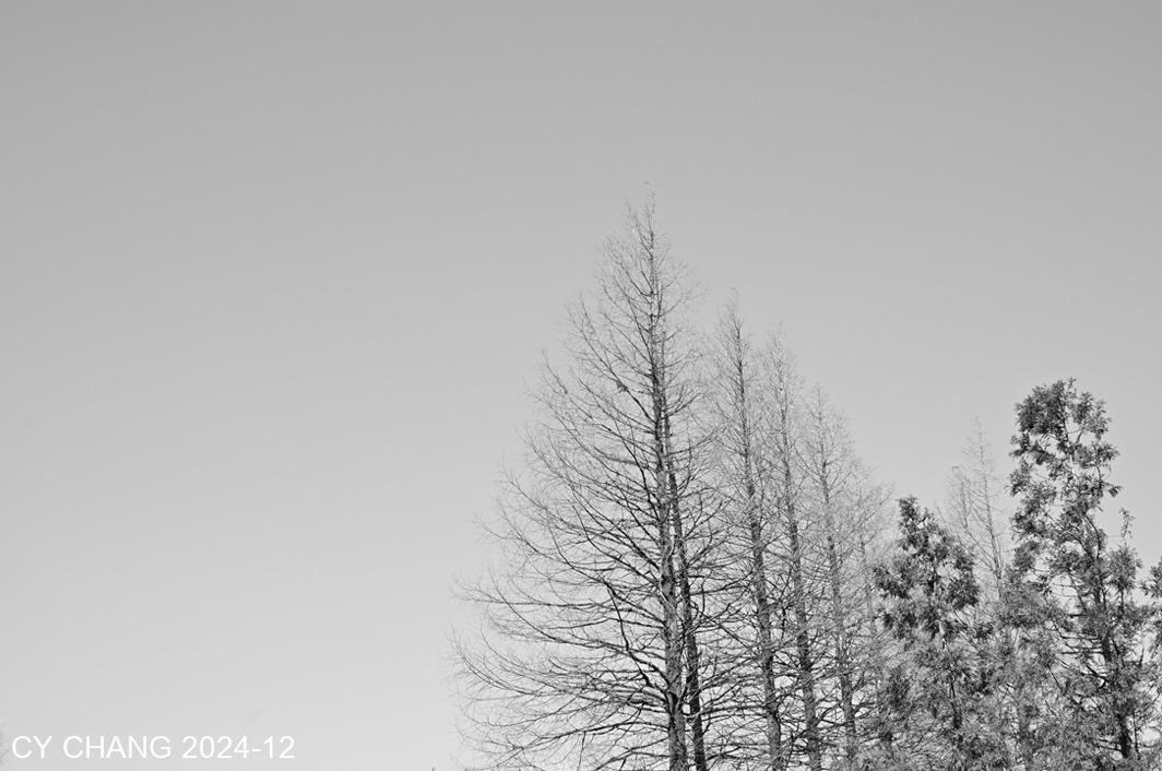 Winter in Shanwangping, Nanchuan, ChongQing